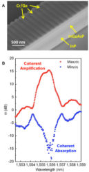 Lasing and Anti-Lasing in a Single Cavity