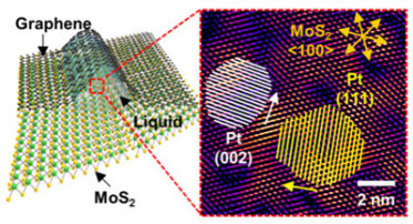 MoS2 Liquid Cell Electron Microscopy Through Clean and Fast Polymer ...
