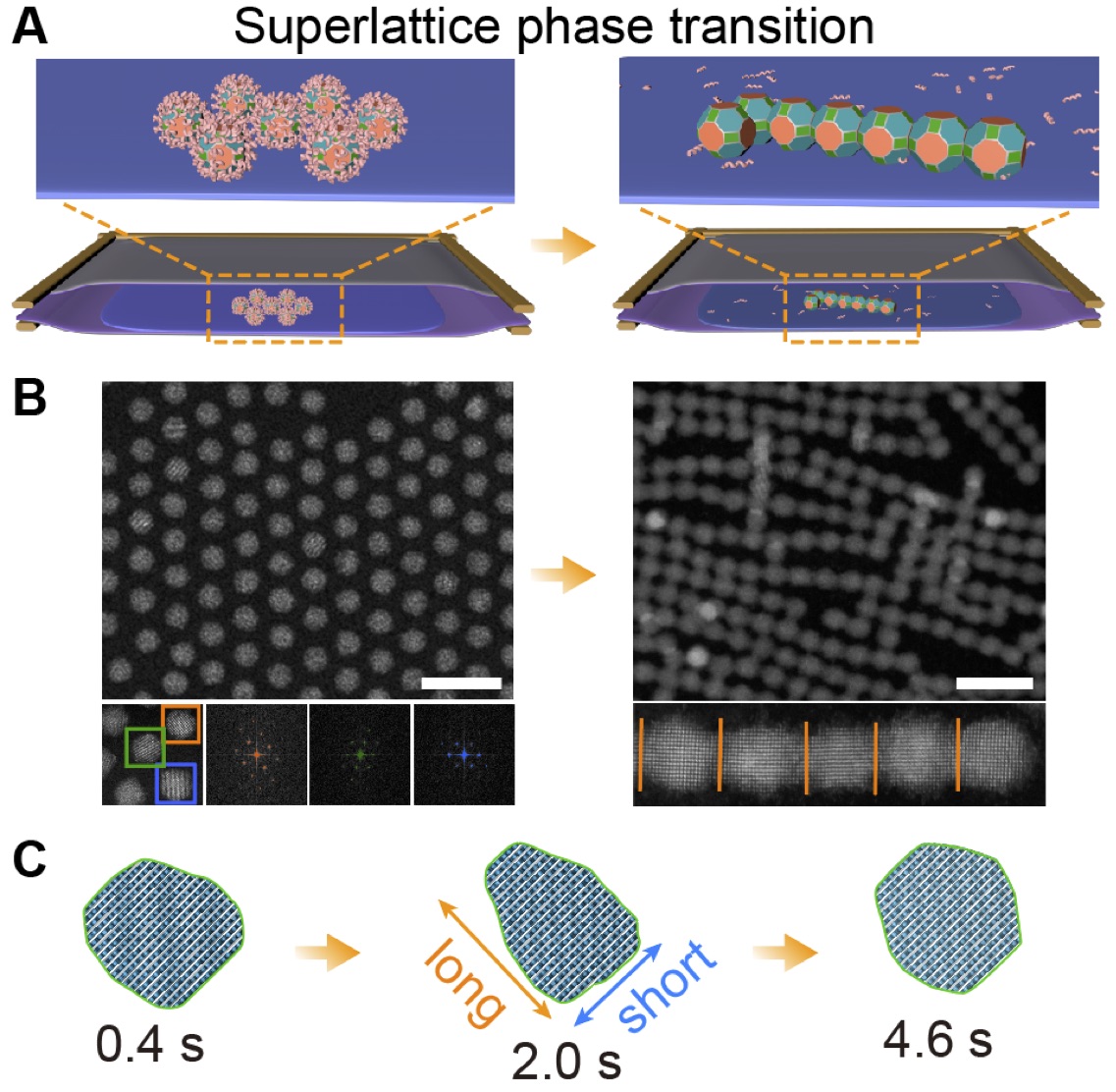 Dynamic Deformability of Individual PbSe Nanocrystals During ...