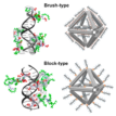 A peptoid coat keeps these DNA origami structures safe — so they can ...