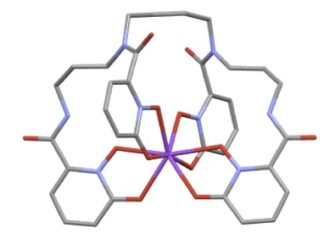 First Ever Measurements of Einsteinium