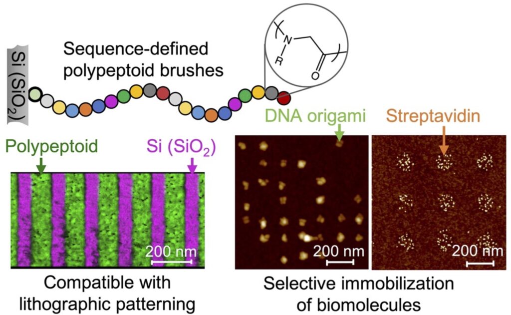Nanopatterned Polypeptoid Brushes for Semiconductor/Bio Interfaces