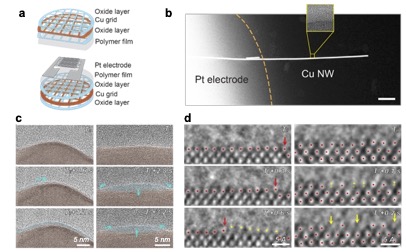 Atomic Dynamics of Electrified Solid-Liquid Interfaces in Liquid Cell TEM