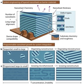 Functional Composites by Programming Entropy-driven Nanosheet Growth