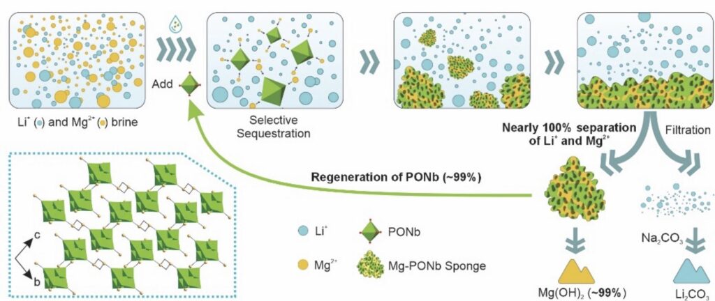 Ultraselective sequestration of Li+ and Mg2+ from brines via a reusable ...